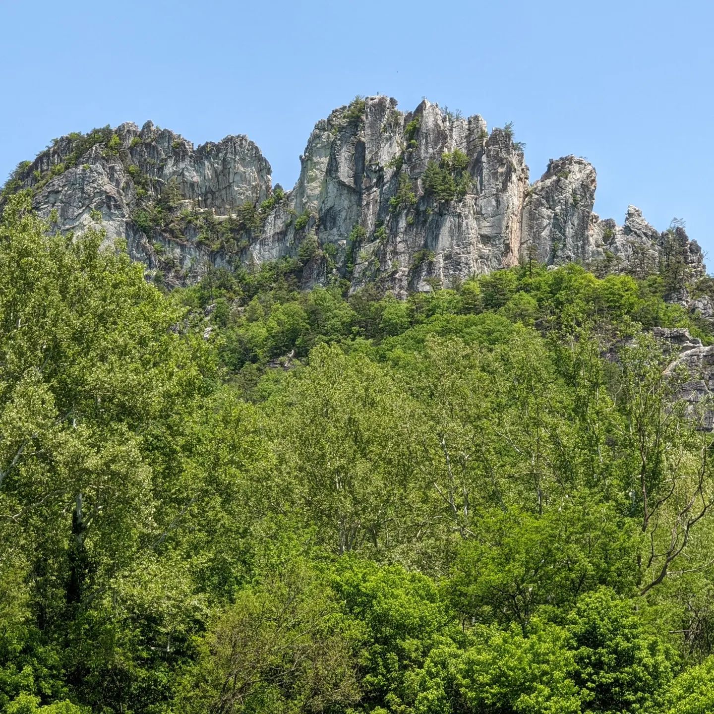 Seneca Rocks in Virginia - Weird History Stories