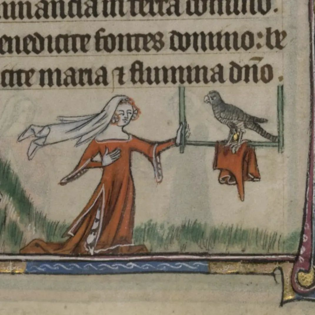 Medieval Falconry and Women - Weird History Stories
