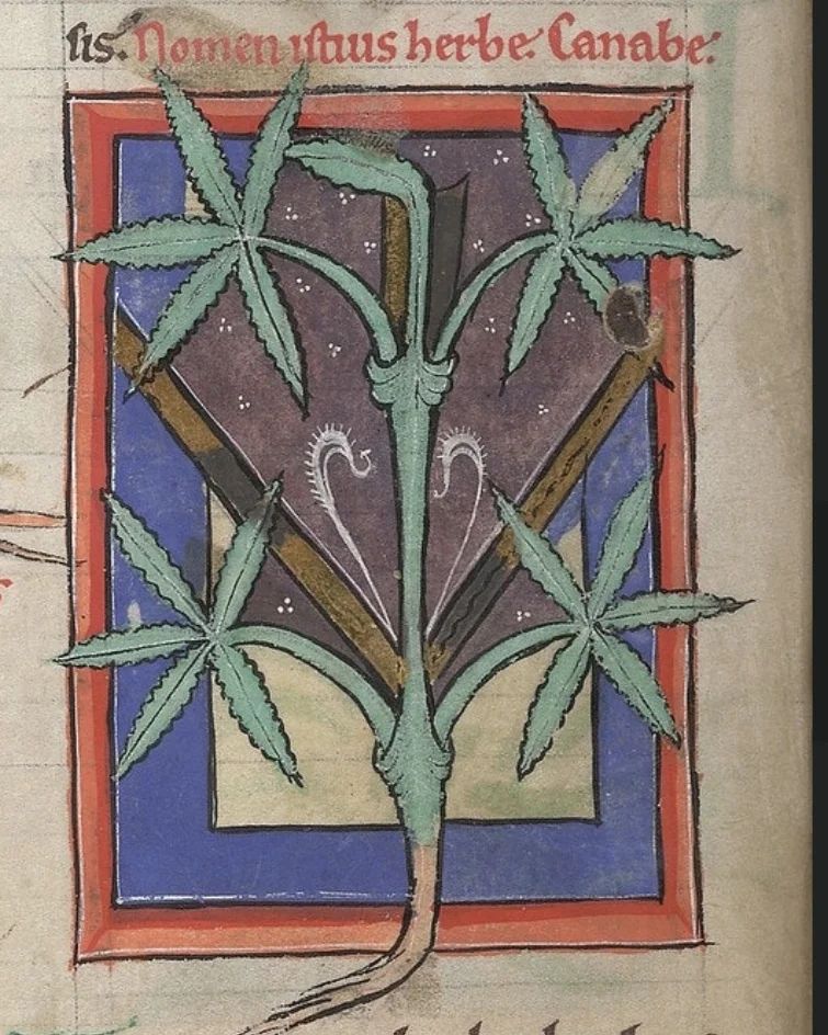 Medieval Weed - Weird History Stories