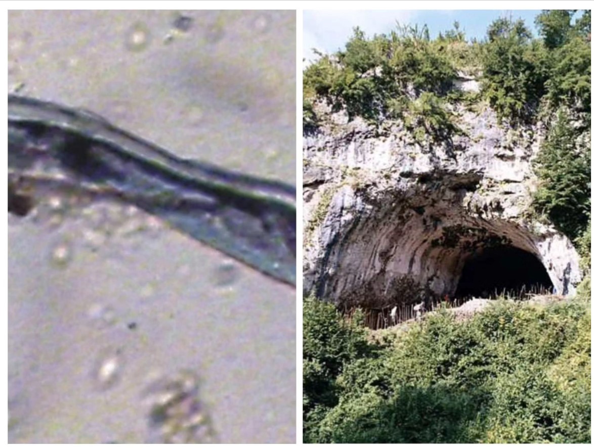 Dzudzuana Cave, human fabric, and skin lice - Weird History Stories