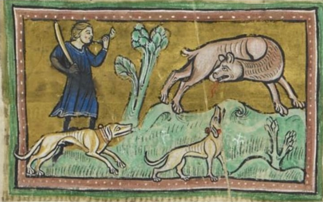 Medieval Beaver Hunting - Weird History Stories