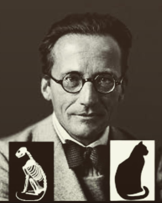 Schrodinger's Cat and Life - Weird History Stories